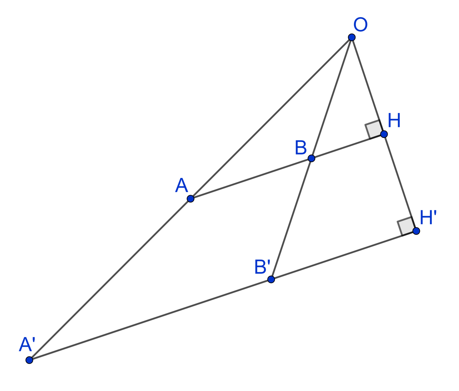 Le théorème de Thalès - L'univers des mathématiques